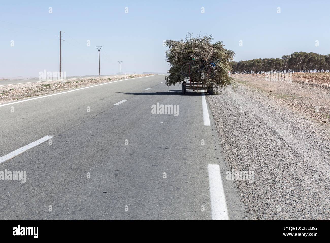 Fully loaded carriage en route through Morocco Stock Photo - Alamy