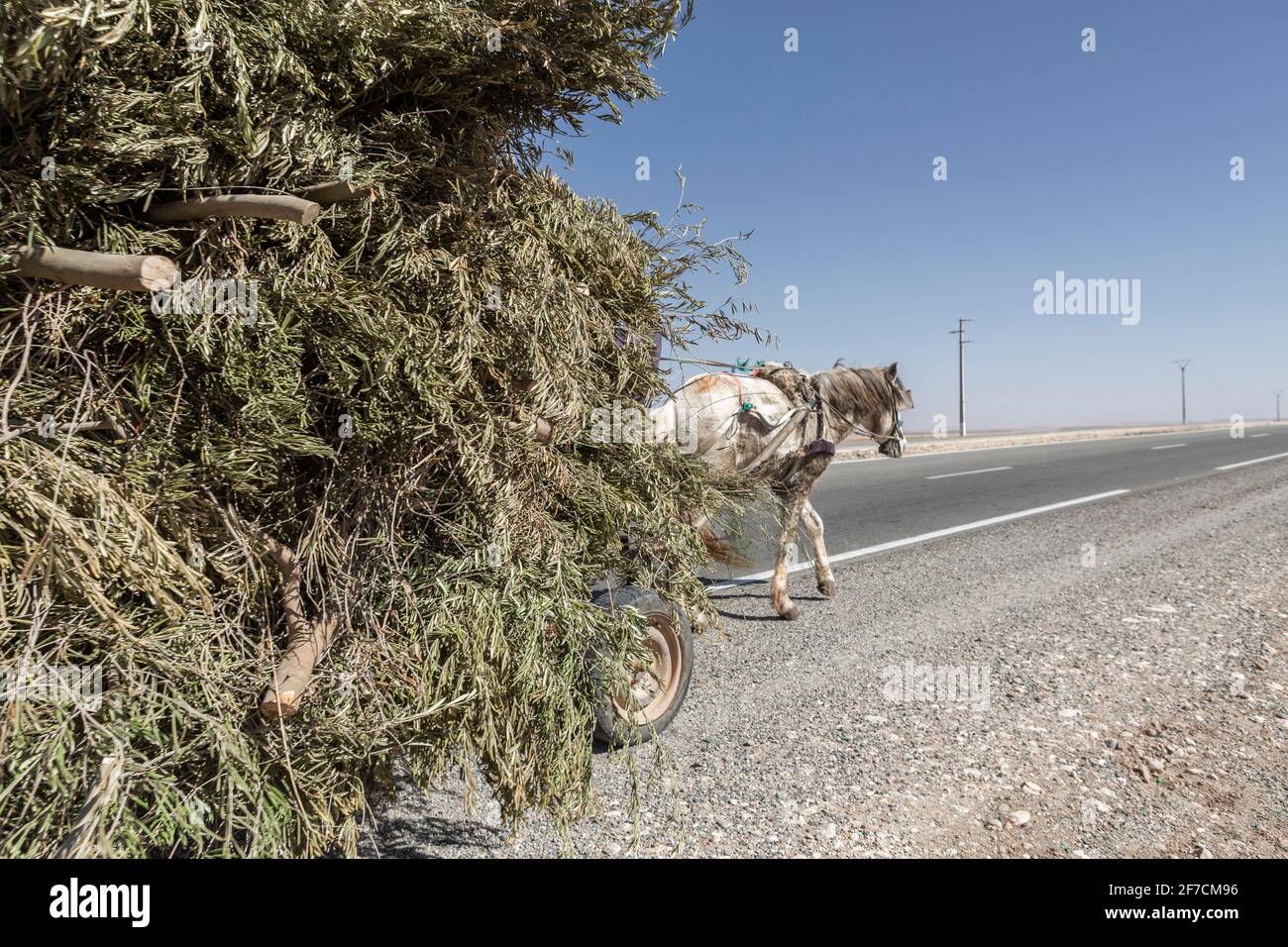 Fully loaded carriage en route through Morocco Stock Photo - Alamy