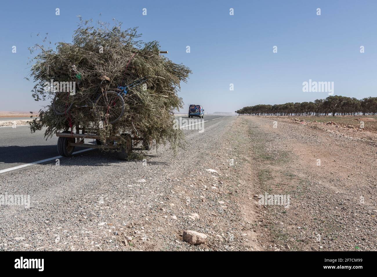 Fully loaded carriage en route through Morocco Stock Photo - Alamy