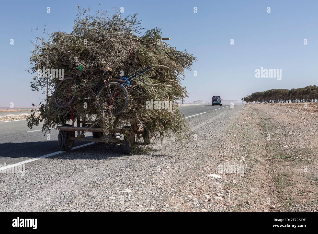 Fully loaded carriage en route through Morocco Stock Photo - Alamy