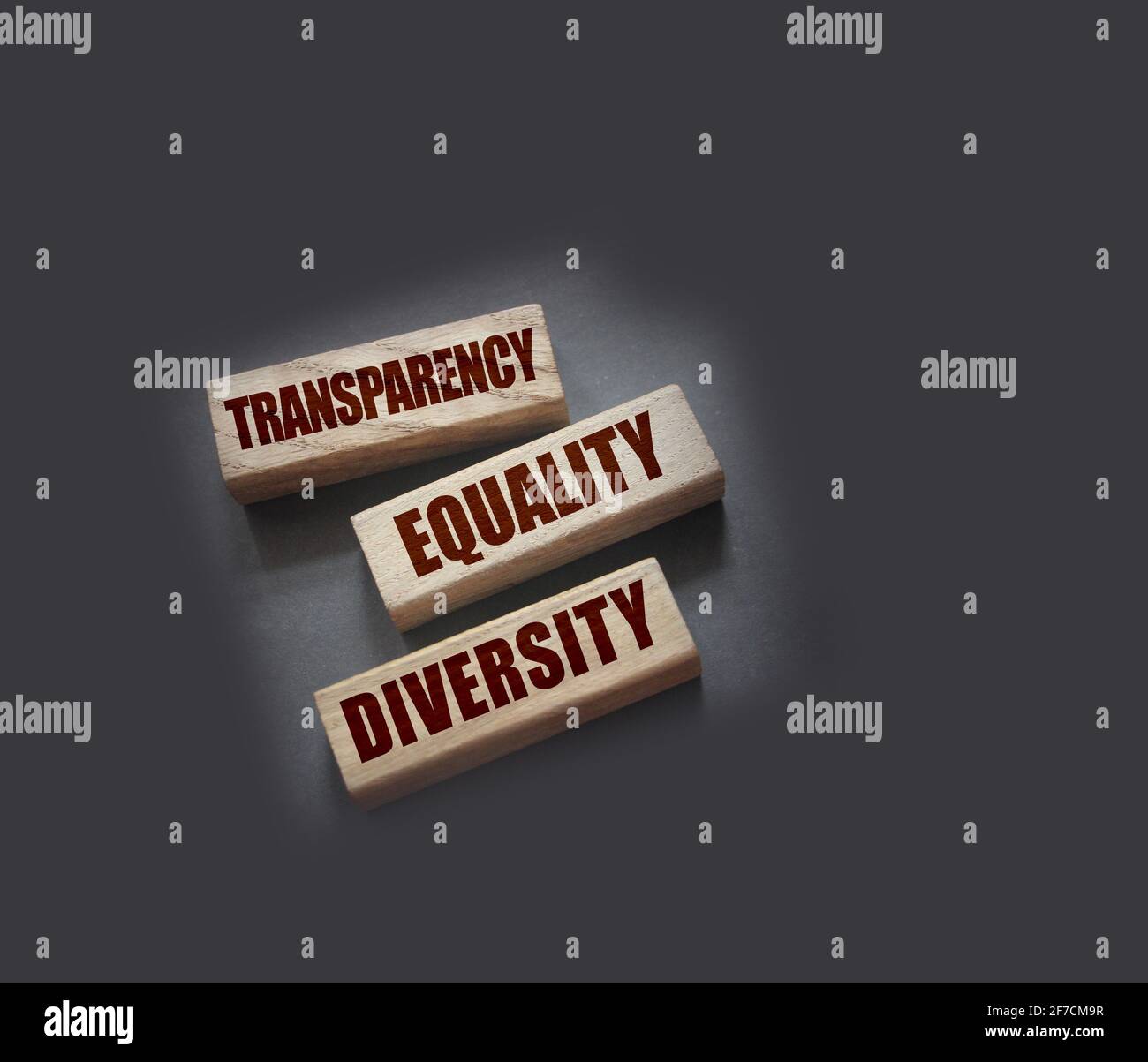 Transparency Equality diversity words on long wooden blocks on black ...