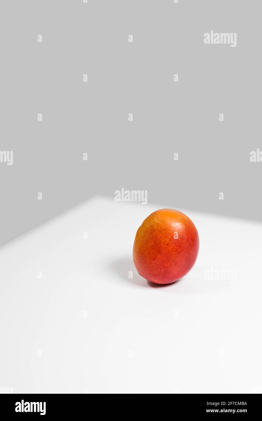 One fresh raw mango on the edge of white table with grey background ...