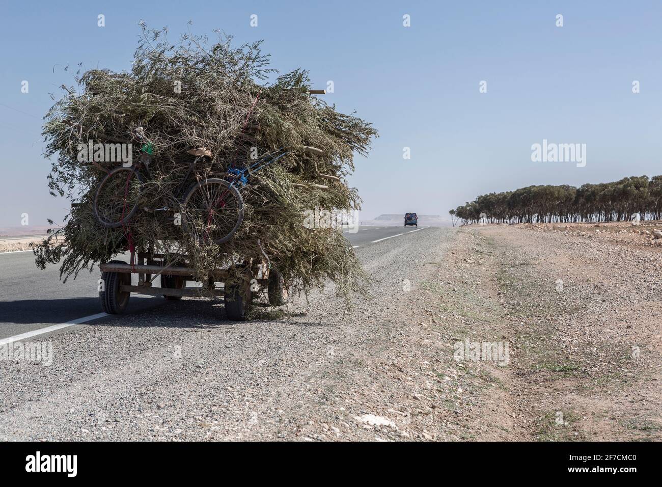 Fully loaded carriage hi-res stock photography and images - Alamy