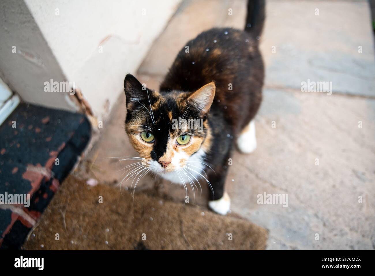 April 2021 hi-res stock photography and images - Alamy