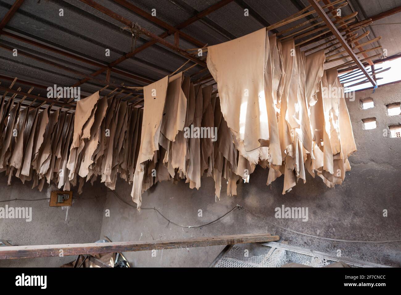 Leather dry cleaning hi-res stock photography and images - Alamy