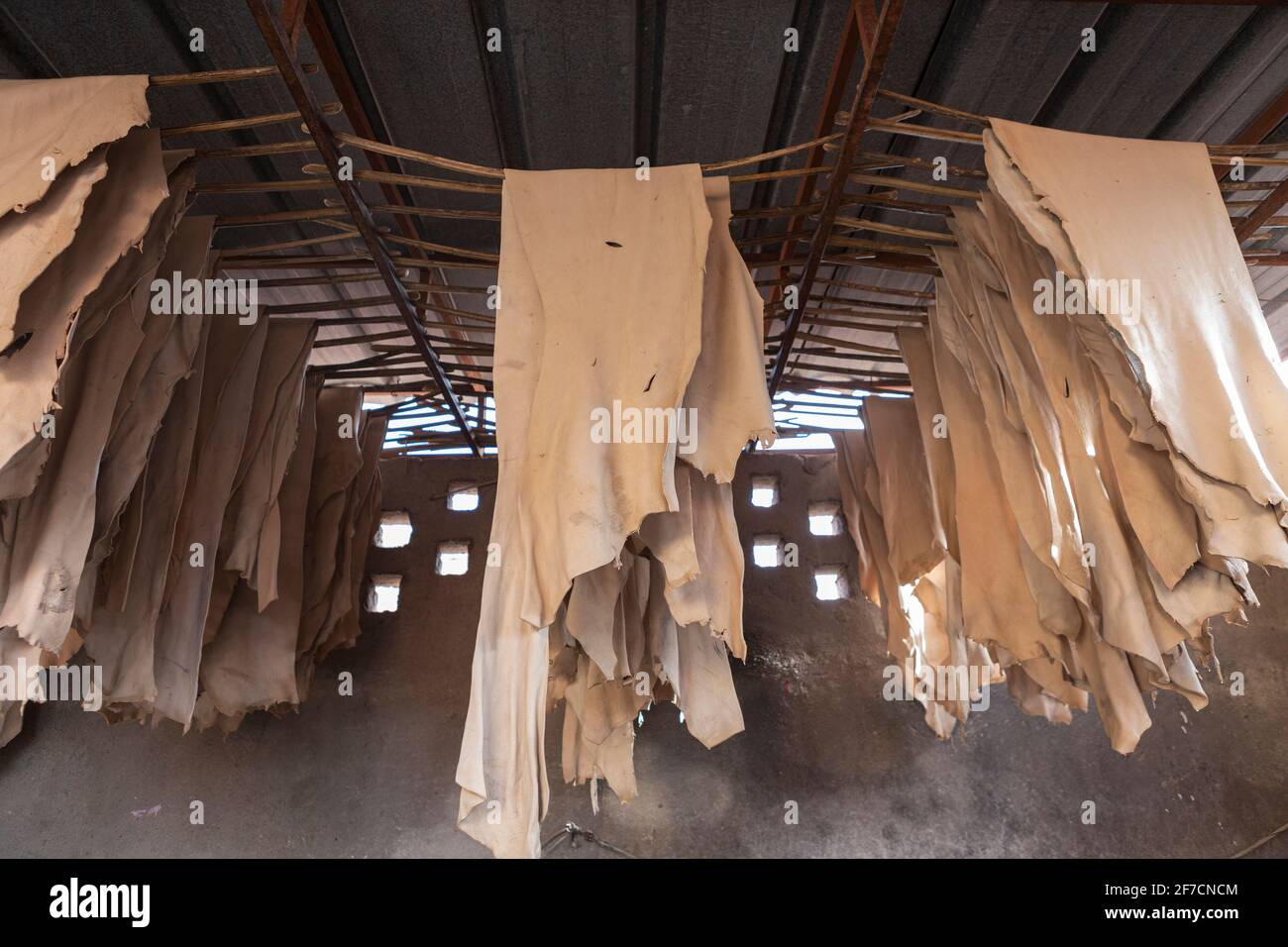 Leather dry cleaning hi-res stock photography and images - Alamy