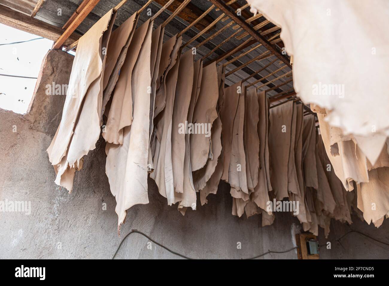Cleaned and processed leather hung to dry in the tanneries of Marrakech ...