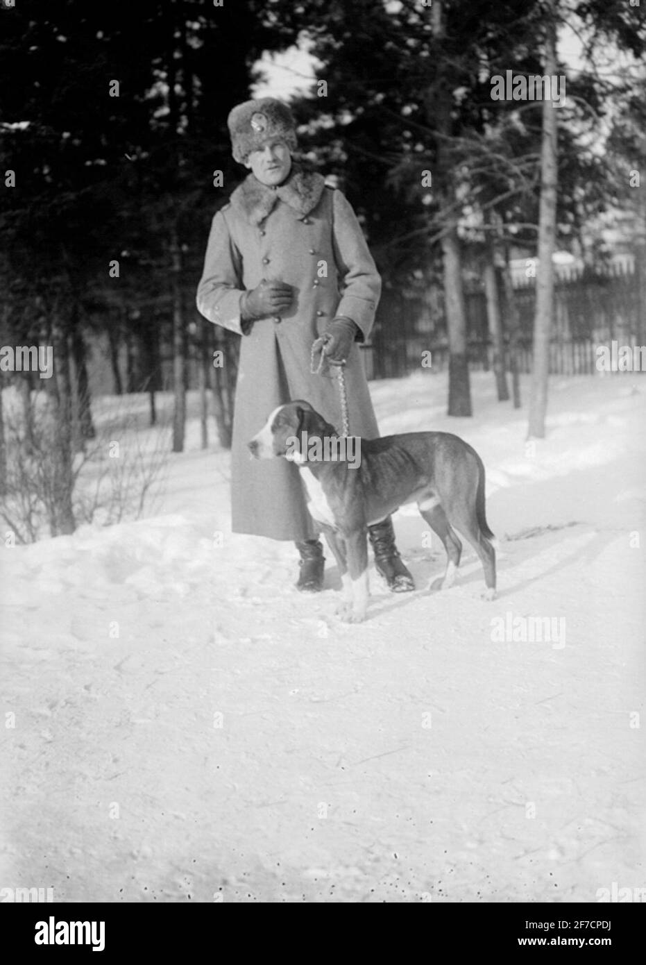 Portrait, Lieutenant and dog portrait of military with dog, winter time ...