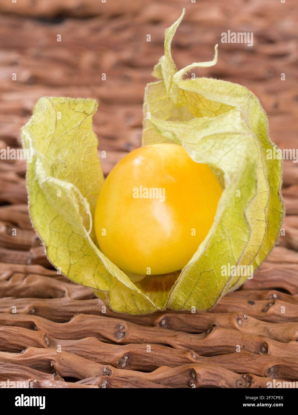 Golden berry, tropical fruit uchuva. top view - Physalis peruviana ...