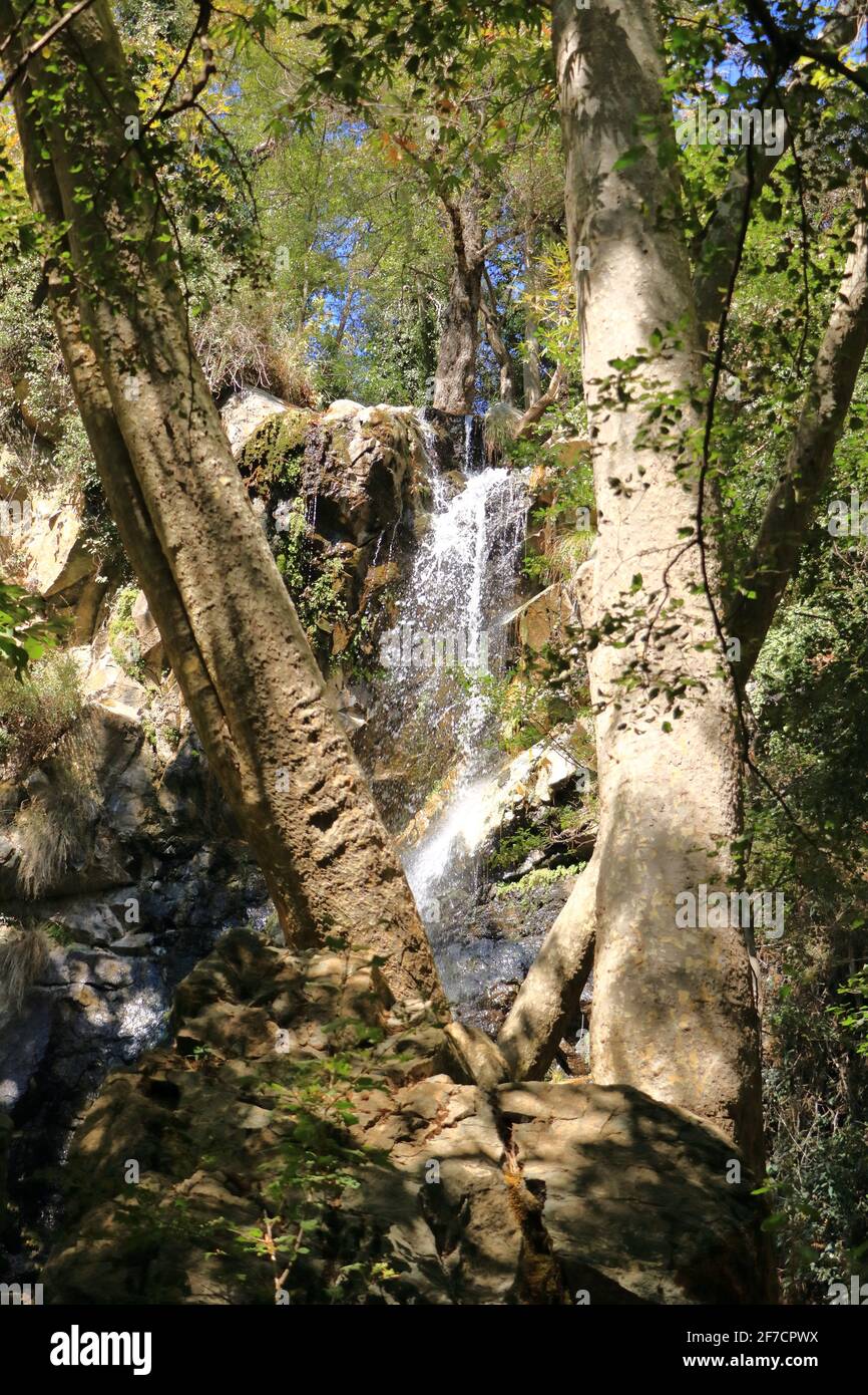 Caledonia waterfall in troodos mountains in cyprus Stock Photo - Alamy