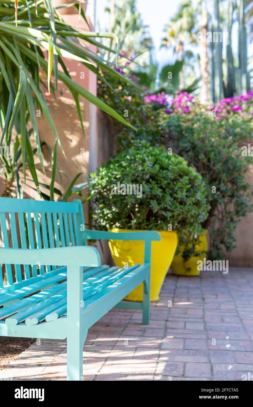 Turquoise painted garden bench with palms and plants in yellow ...