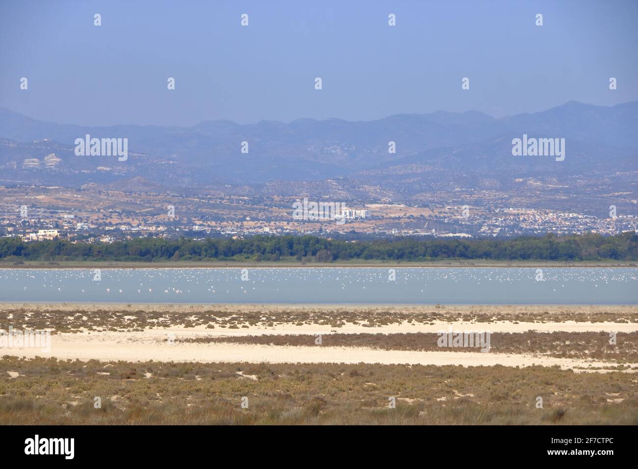the Limassol Salt Lake (also known as Akrotiri Salt Lake) is the ...