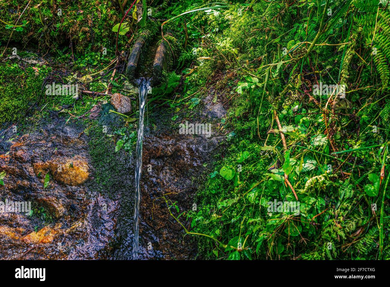 Spring in the dolomites hi-res stock photography and images - Alamy