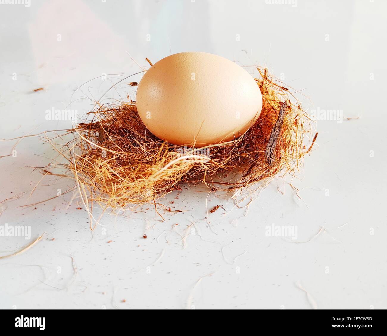 Egg in Nest stock photo , closeup view of a brown egg in nest Stock ...