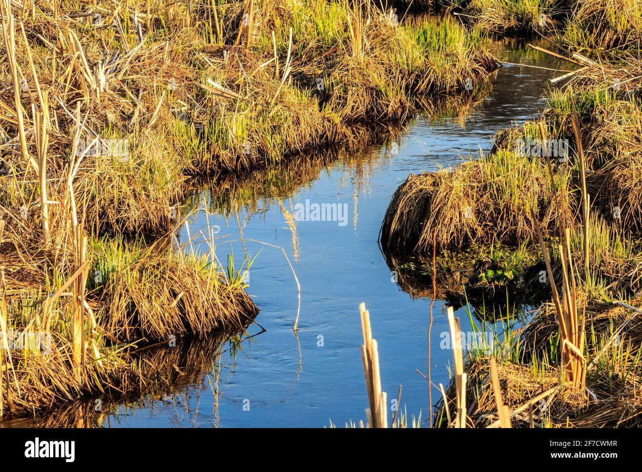 Biome for water preservation hi-res stock photography and images - Alamy
