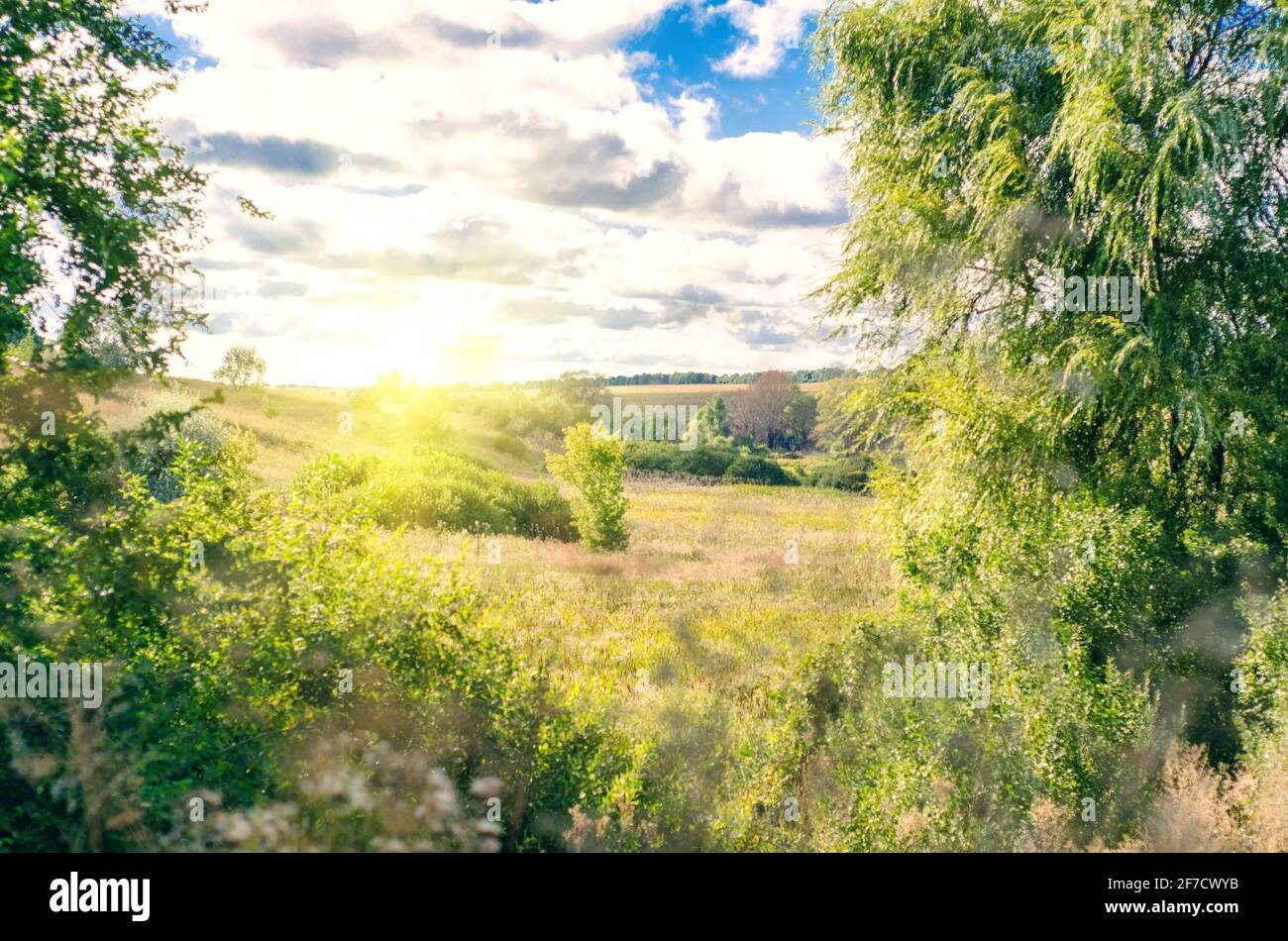 Summer outdoor lawn fields hi-res stock photography and images - Alamy