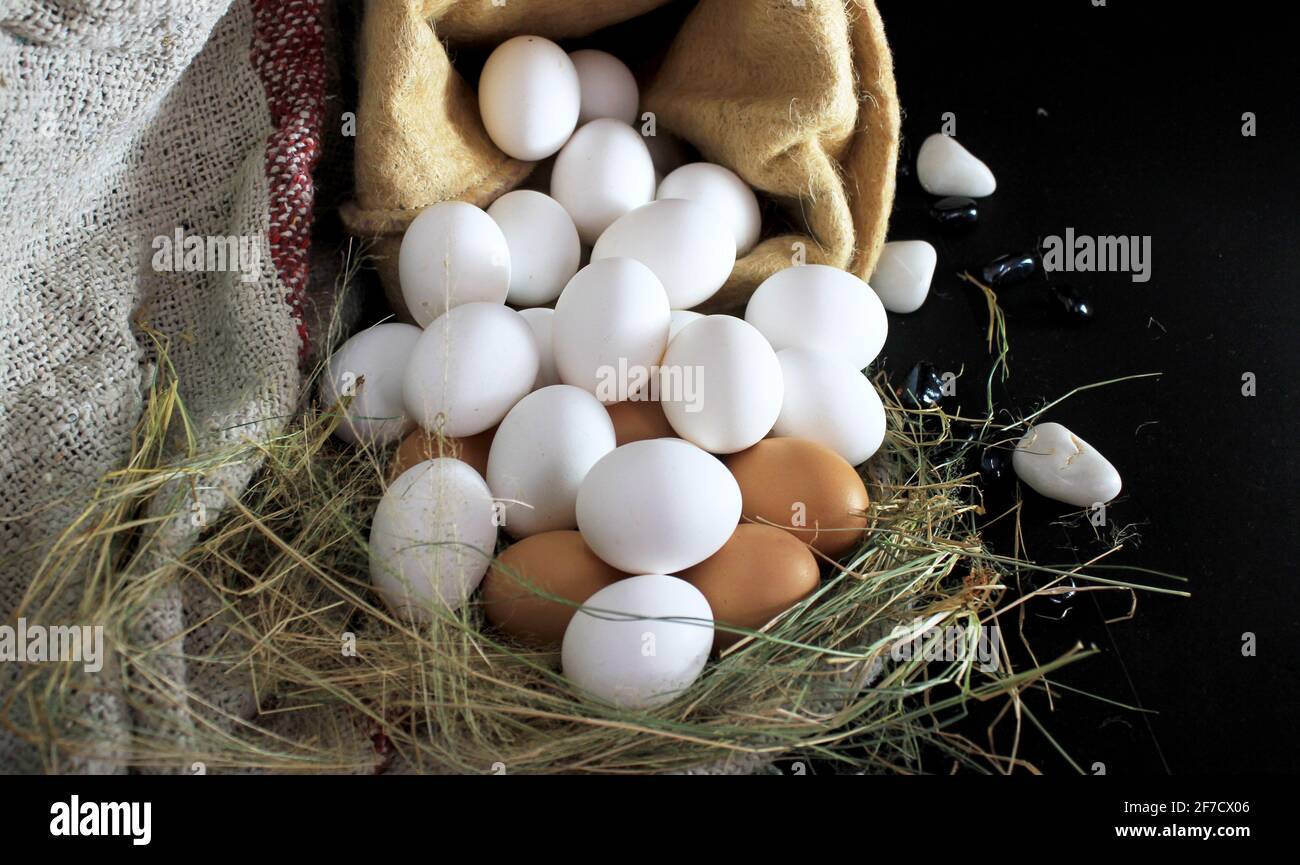 Egss hi-res stock photography and images - Alamy