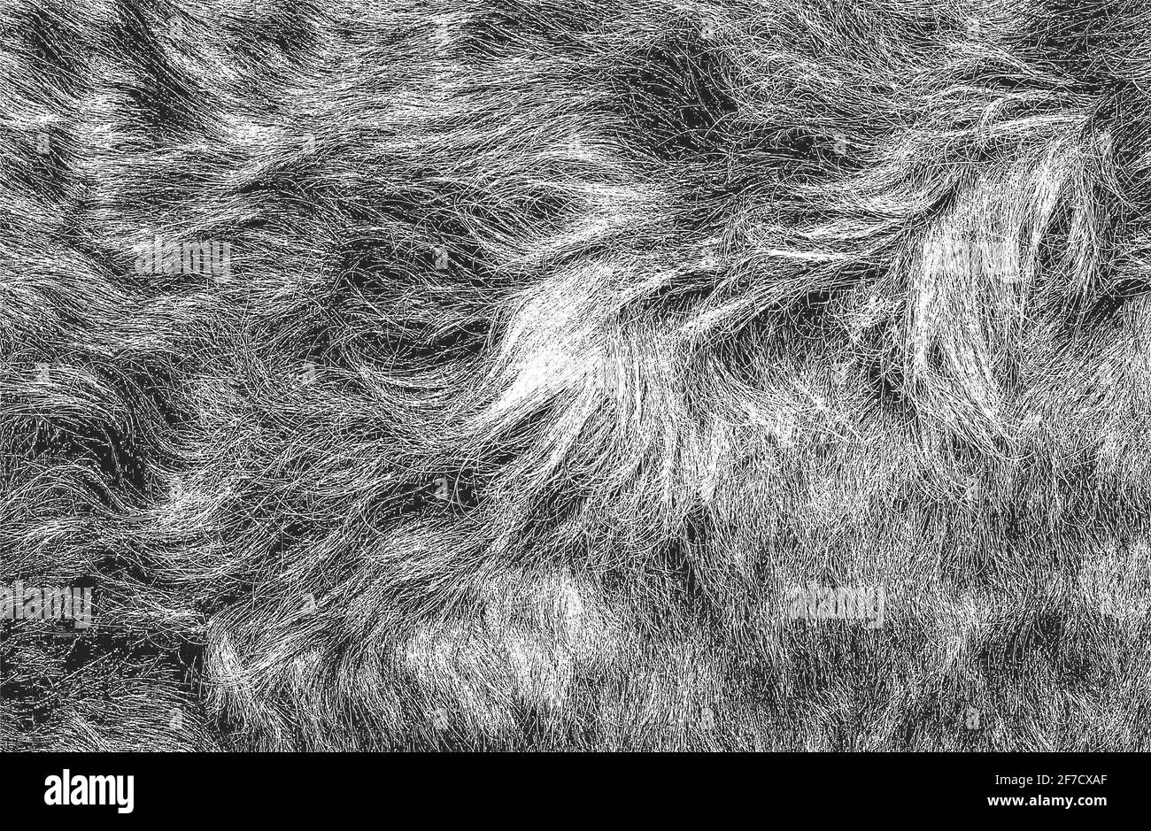 Distressed overlay texture of natural fur, grunge vector background ...