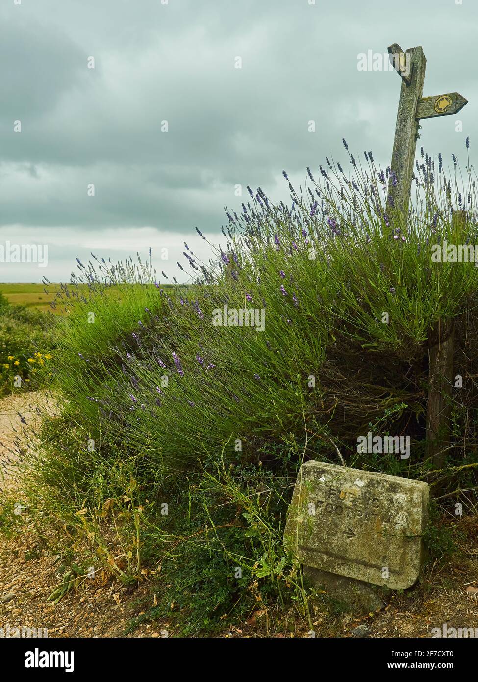 Frame fallen across hi-res stock photography and images - Alamy