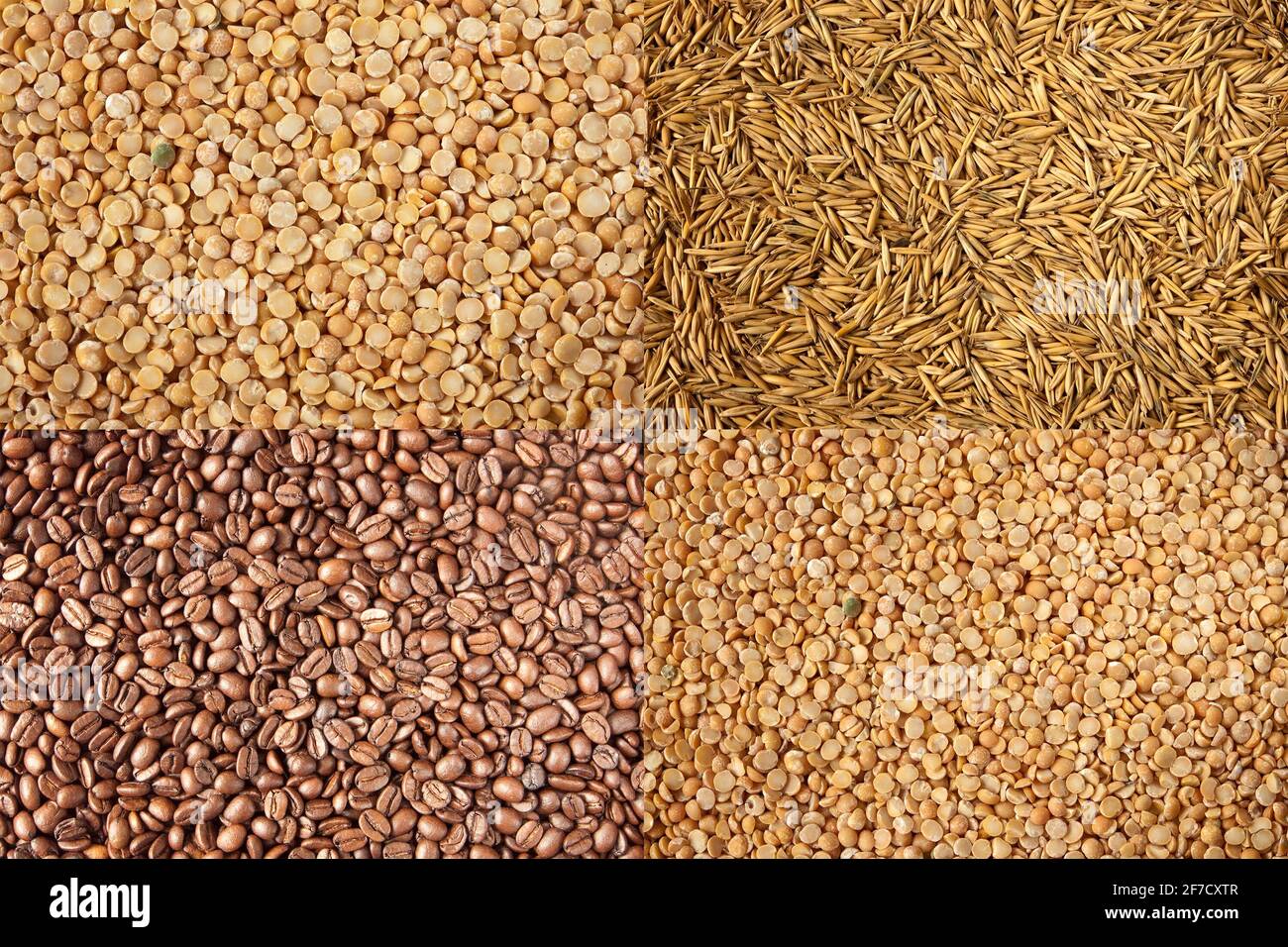 seeds collection as a background Stock Photo - Alamy