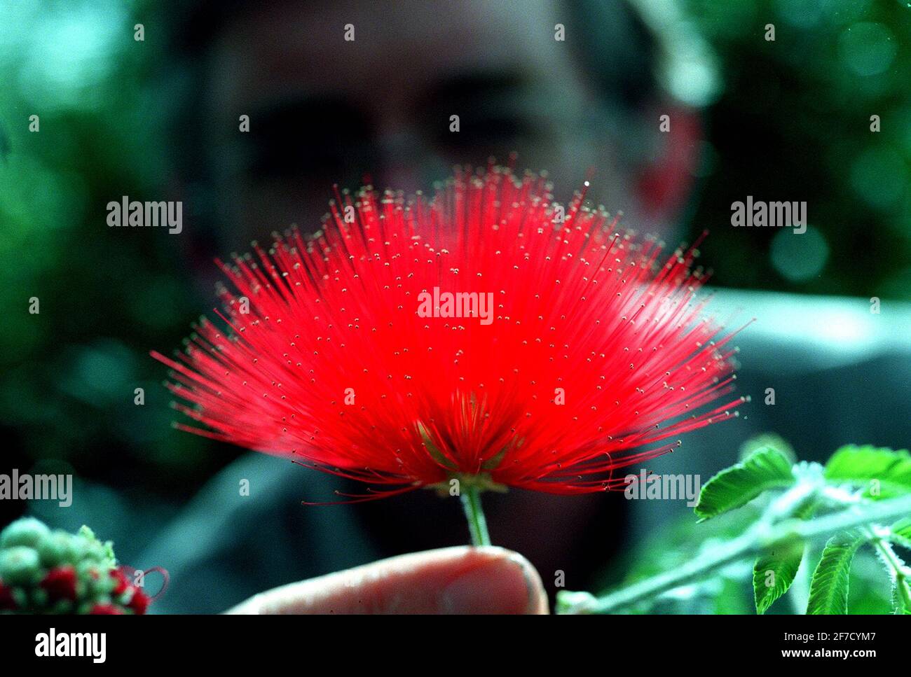 30 9 99 hi-res stock photography and images - Alamy