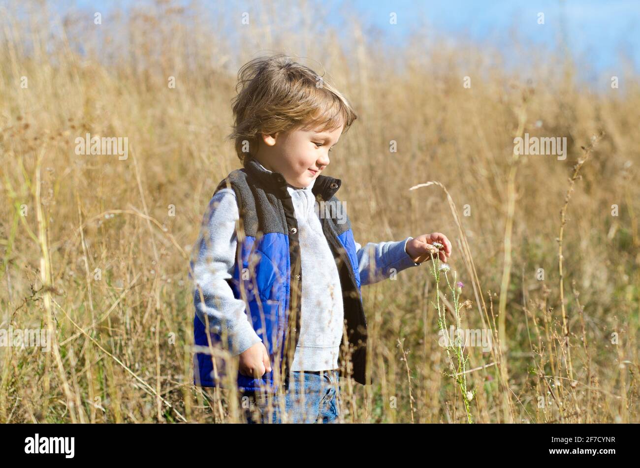 little boy walking at rural field Stock Photo - Alamy