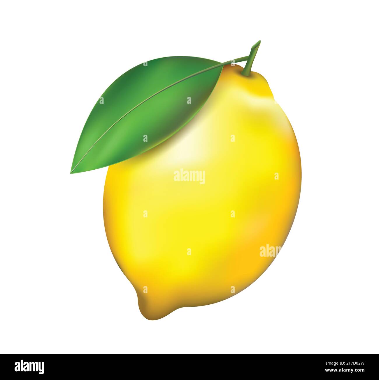 Lemon illustration isolated on white background. Lemon vector Stock ...