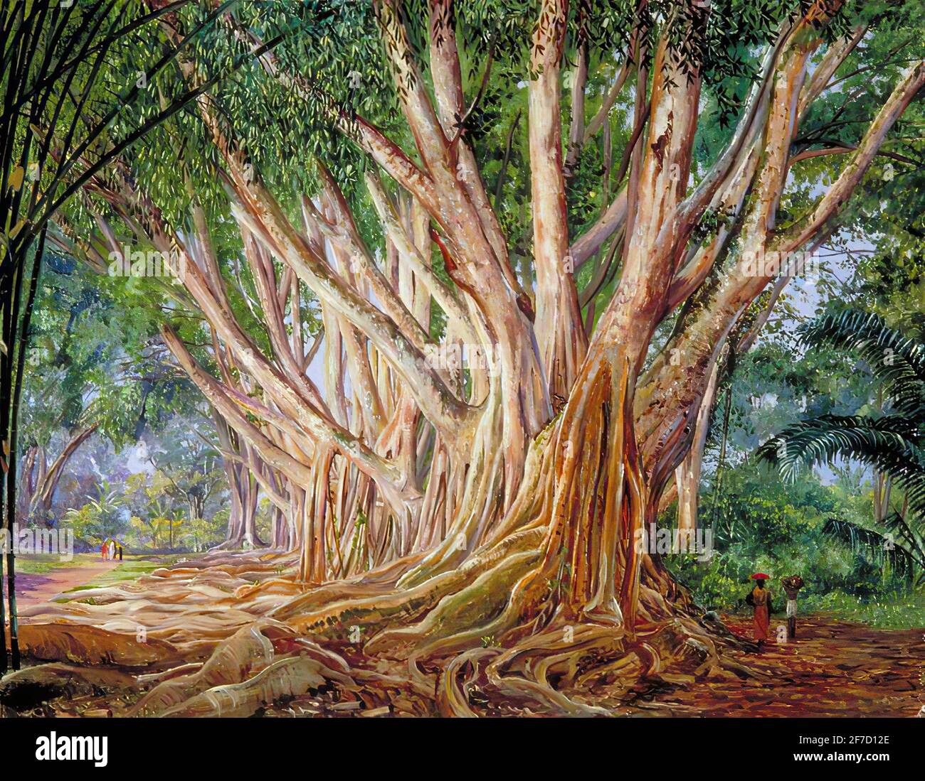 Rubber ceylon hi-res stock photography and images - Alamy
