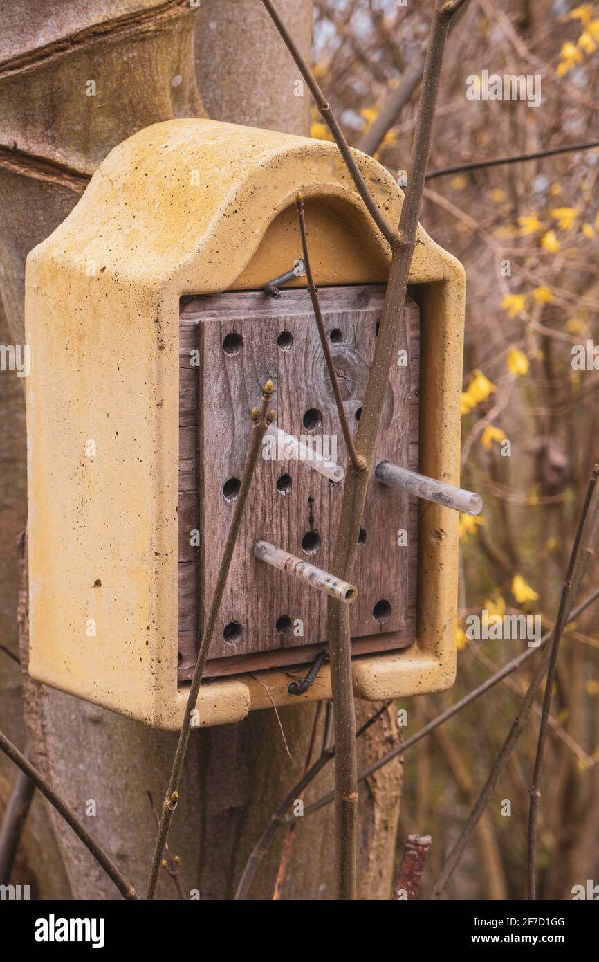 Overwintering insects hi-res stock photography and images - Alamy