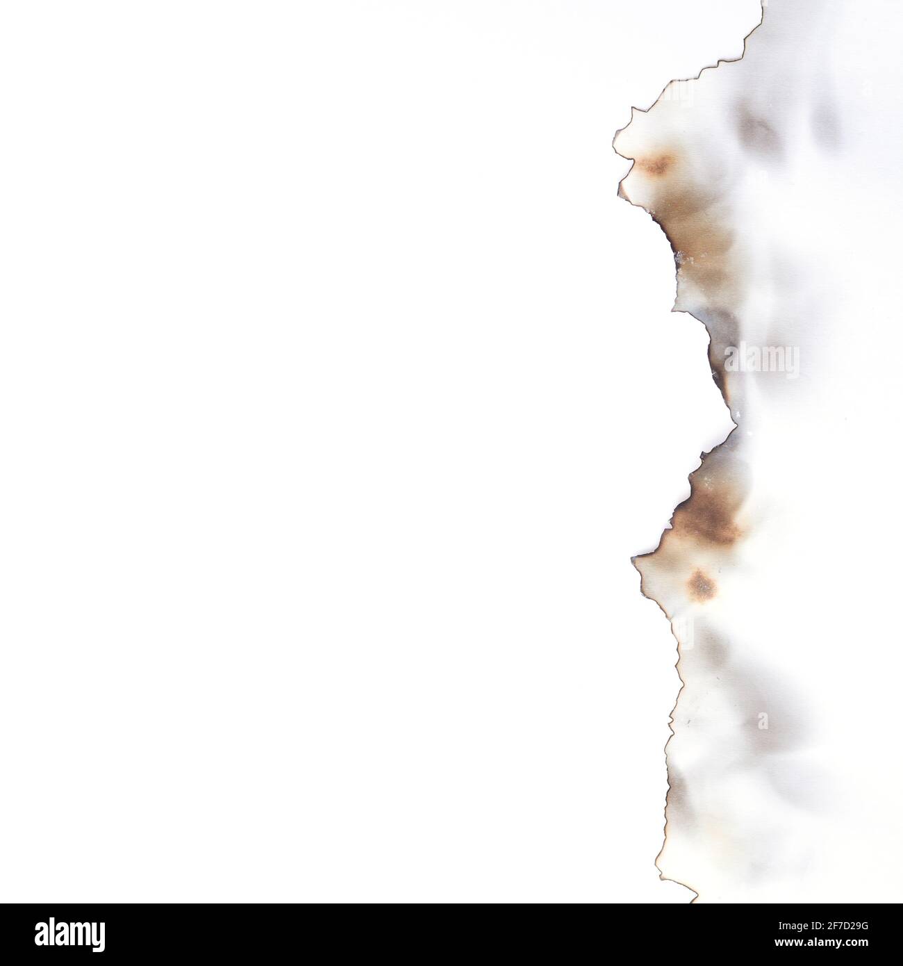 Burnt Paper Texture Png