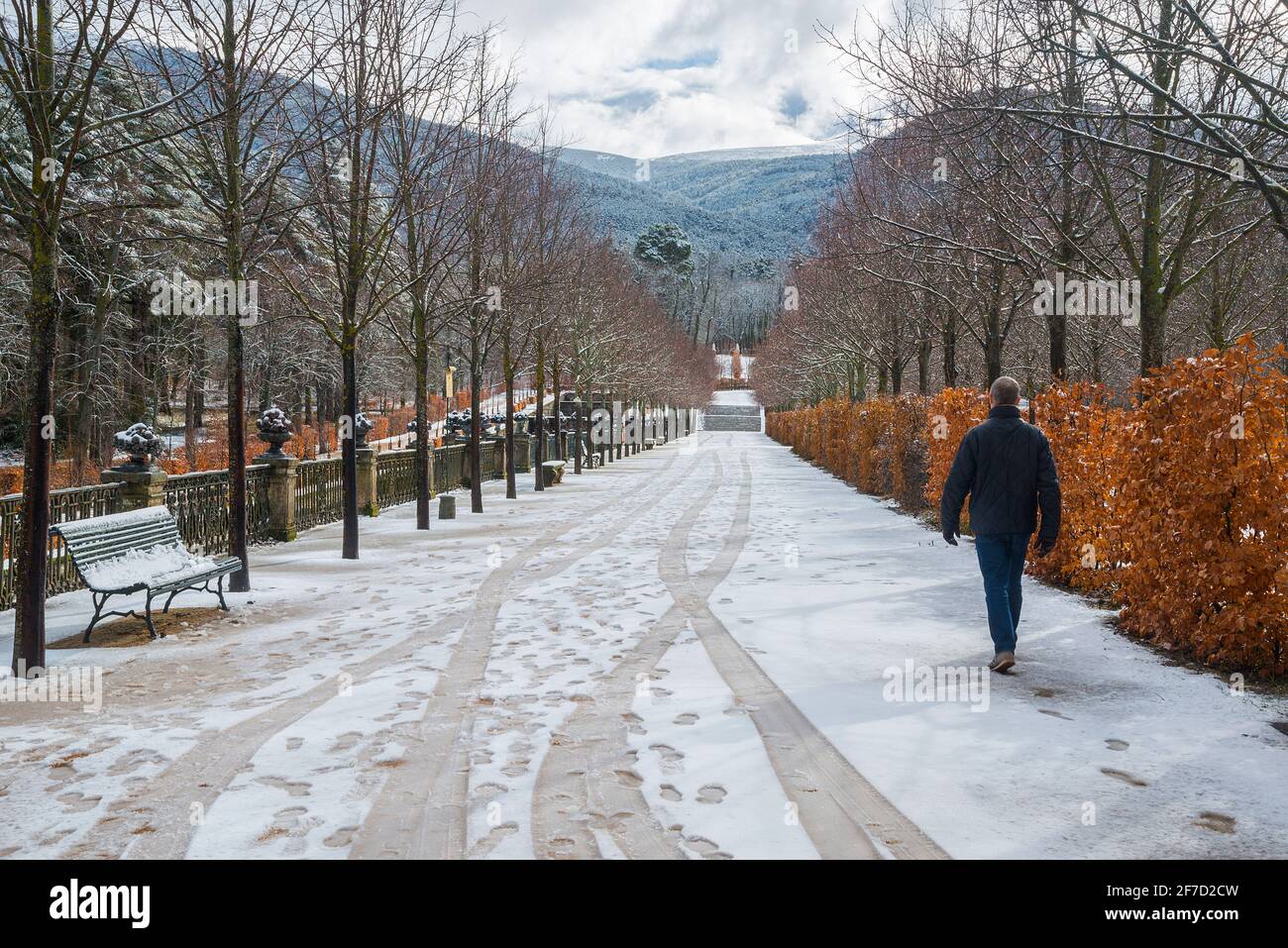 Hombre león hi-res stock photography and images - Alamy