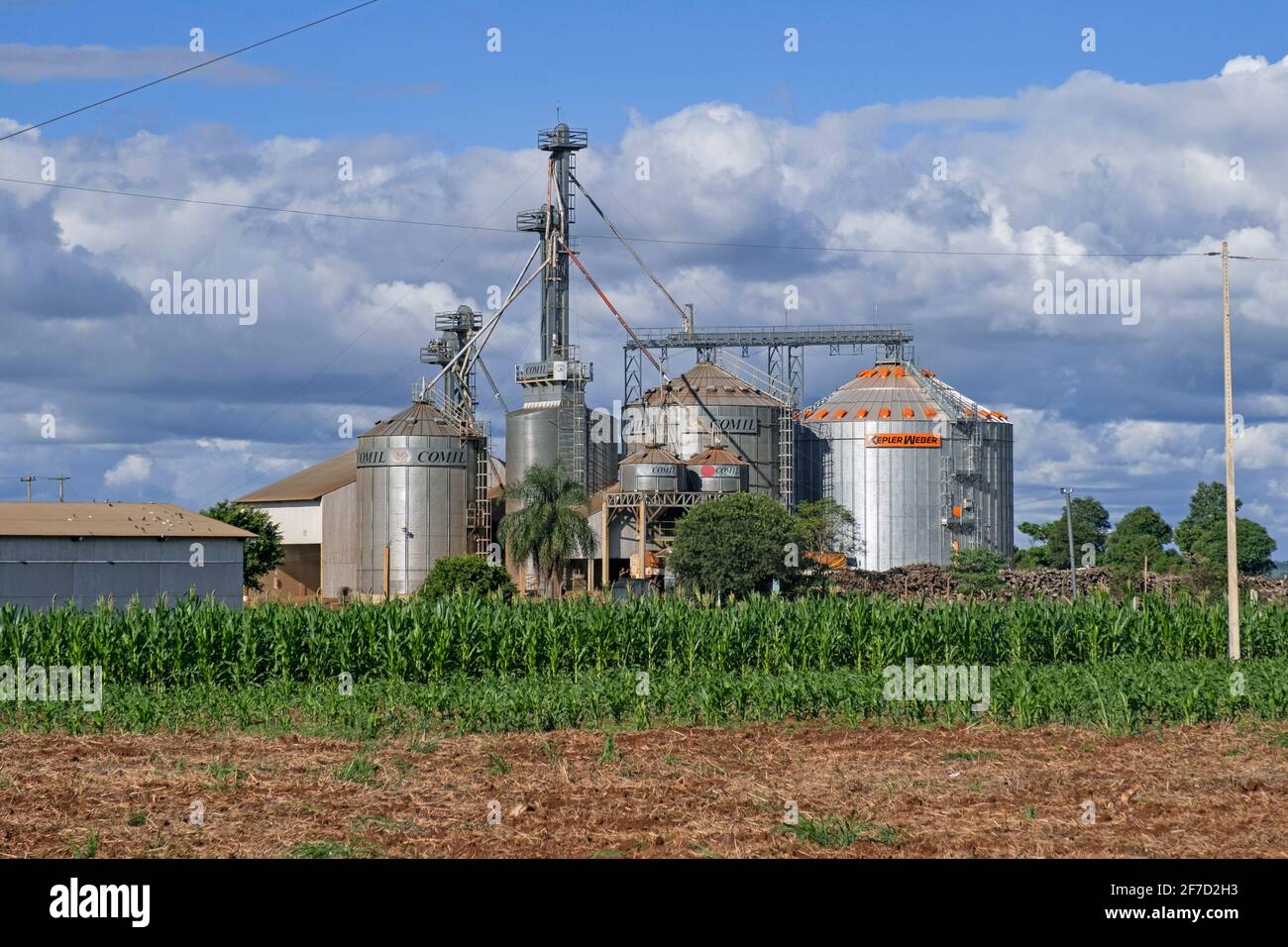 Cornfield and Comil silos to store harvested soyabeans / soya beans ...