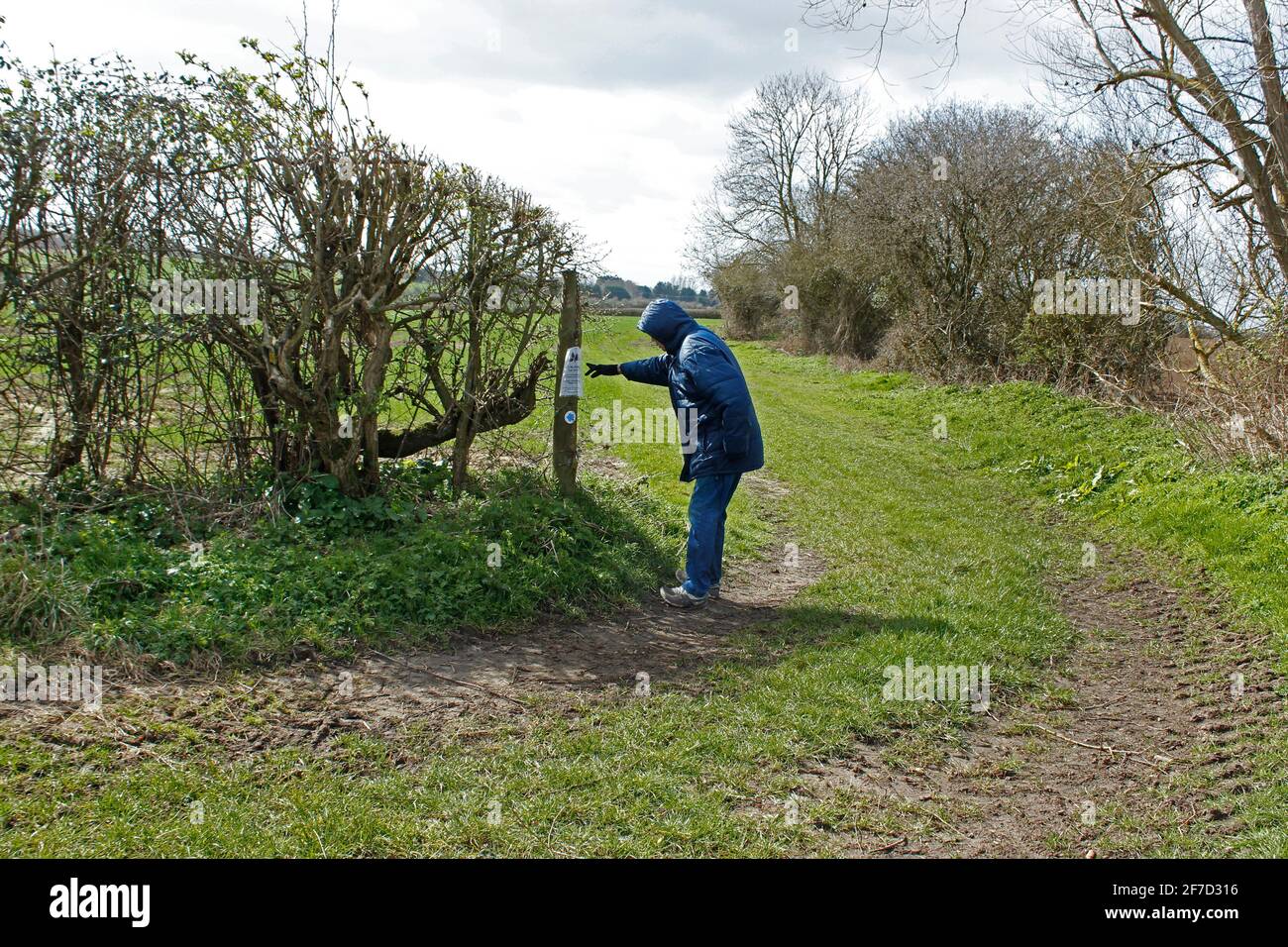 A cross country walker checking access across farmland on a public ...