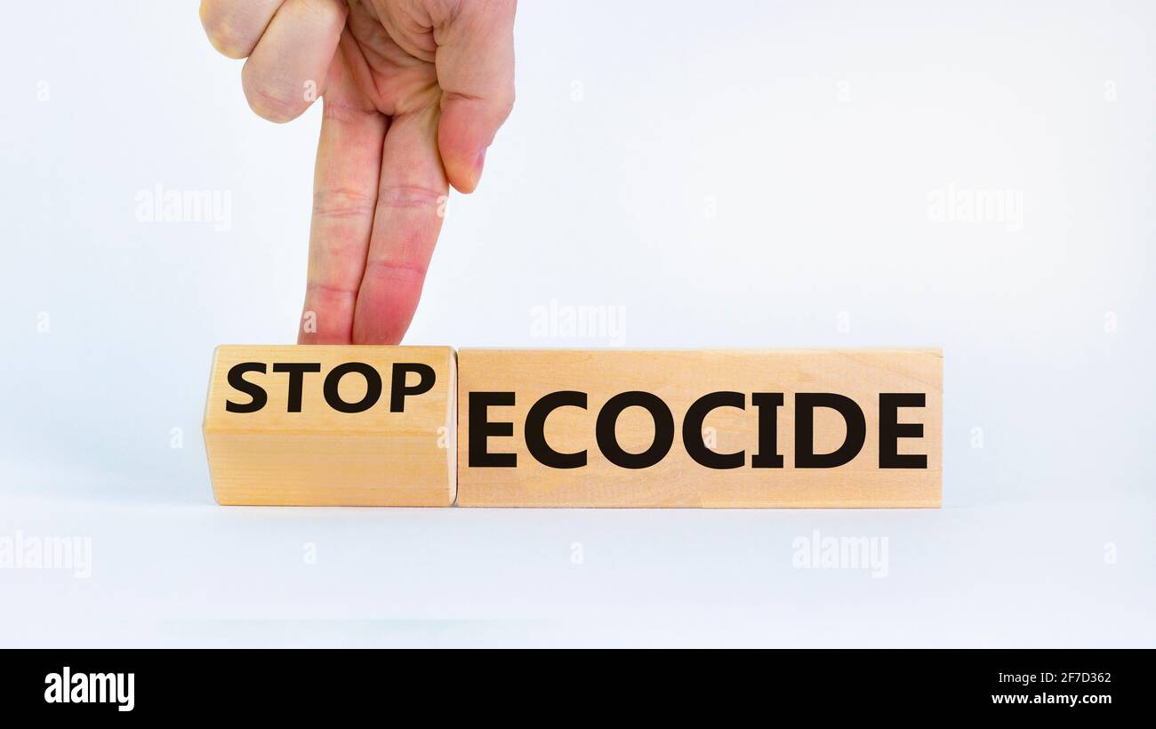 Stop ecocide symbol. Businessman turns a cube and changes words ecocide ...