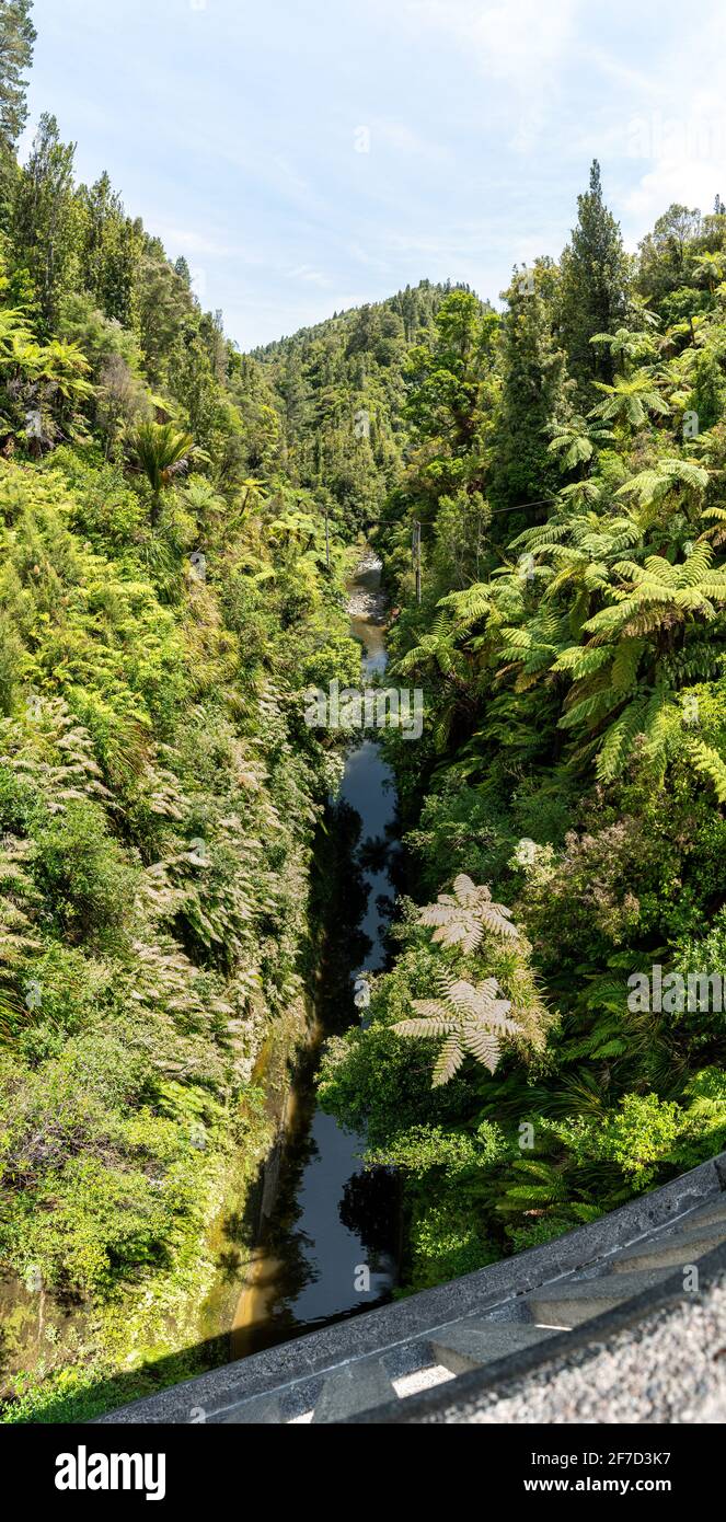 Tour on untouched Whanganui river and through surrounding jungle, North ...