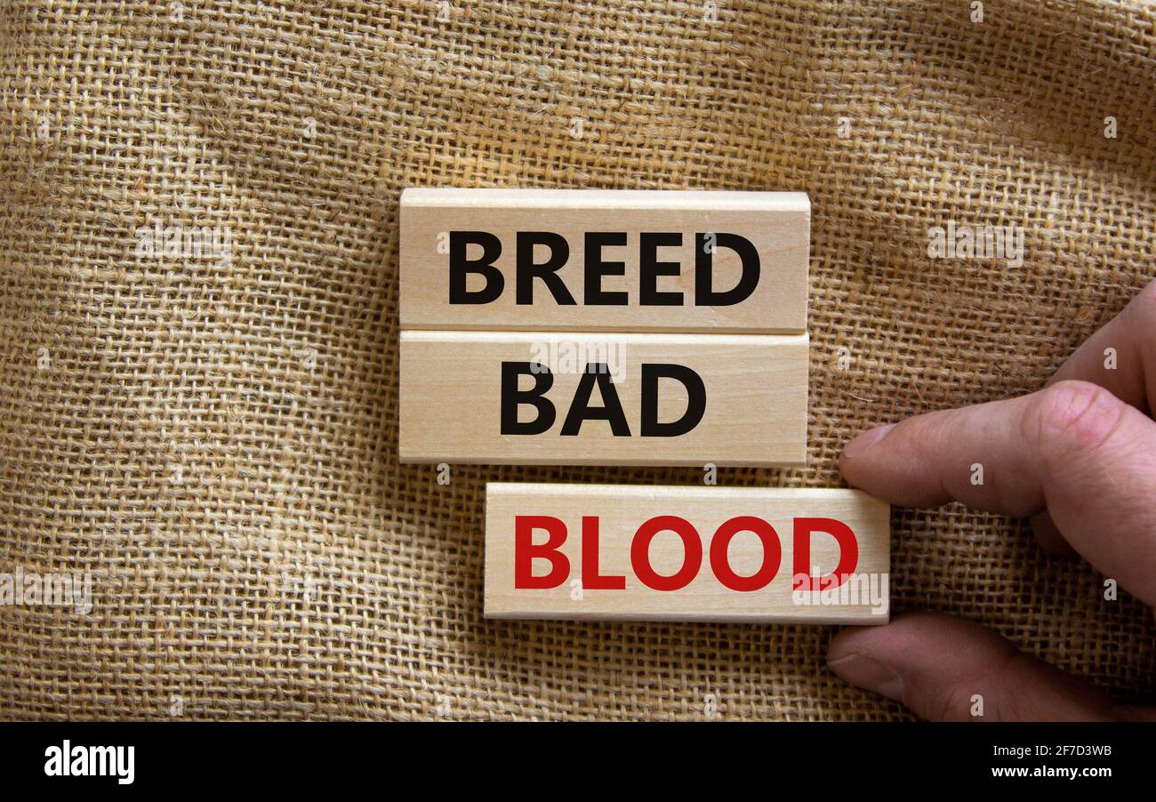 Breed bad blood symbol. Businessman holds wooden block with words ...
