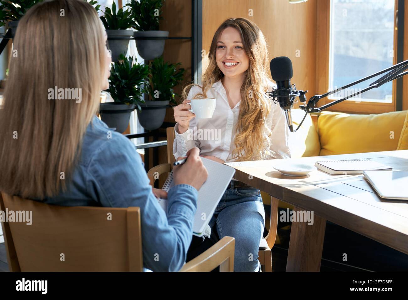 Side view of woman to interview blogger with modern microphone in cafe ...