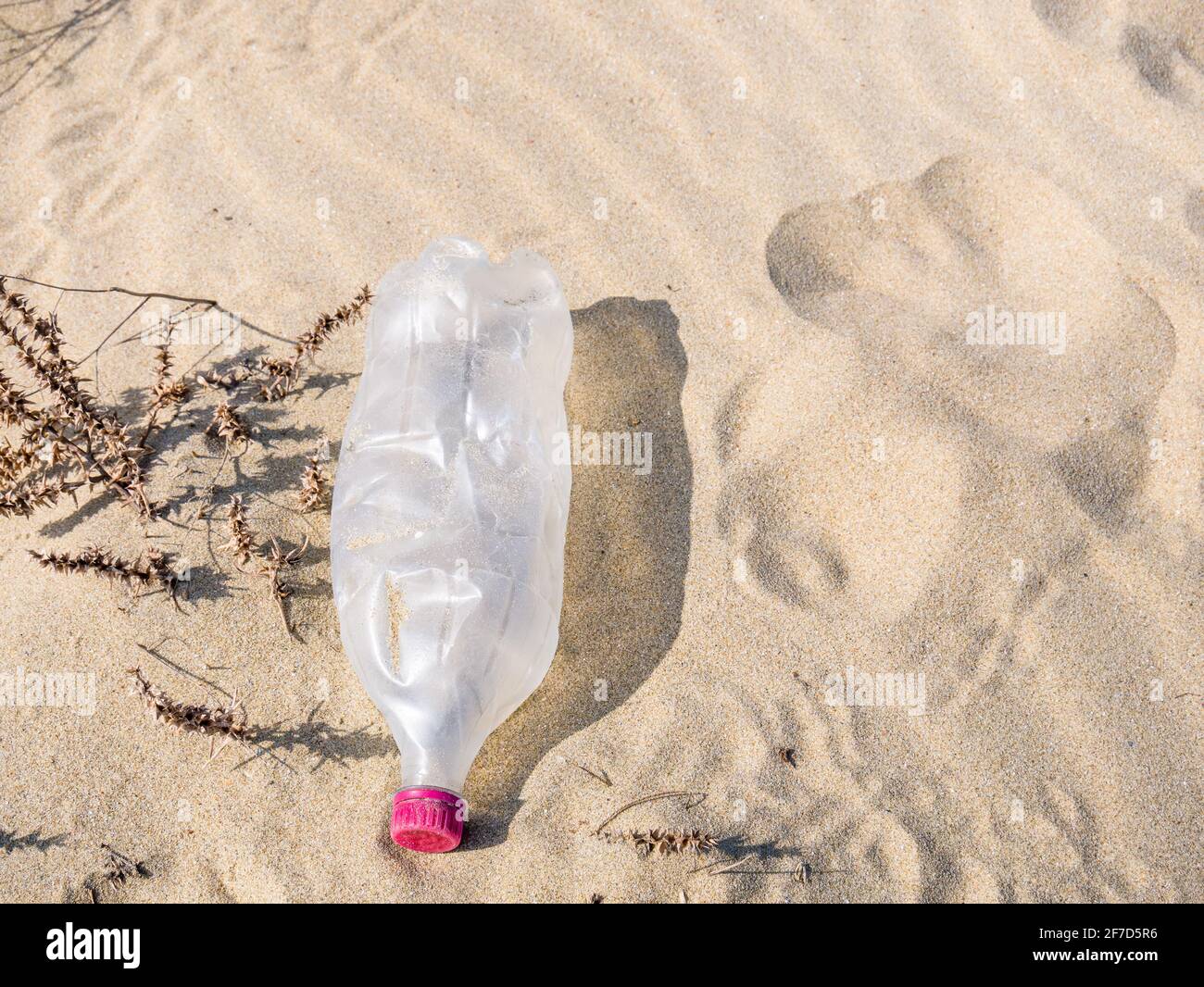 A PET plastic bottle left on the sandy beach. Plastic pollution ...