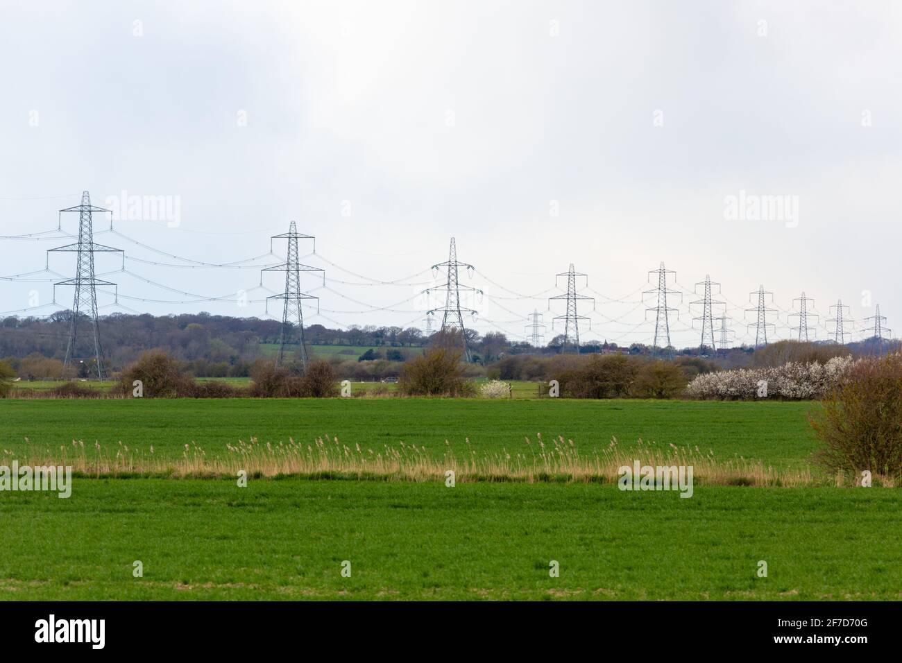 Electricity pylons in a field, romney marsh, kent, uk Stock Photo - Alamy
