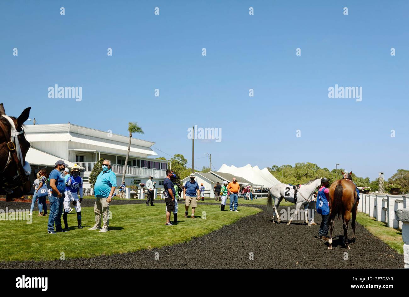 Sport masks hi-res stock photography and images - Alamy