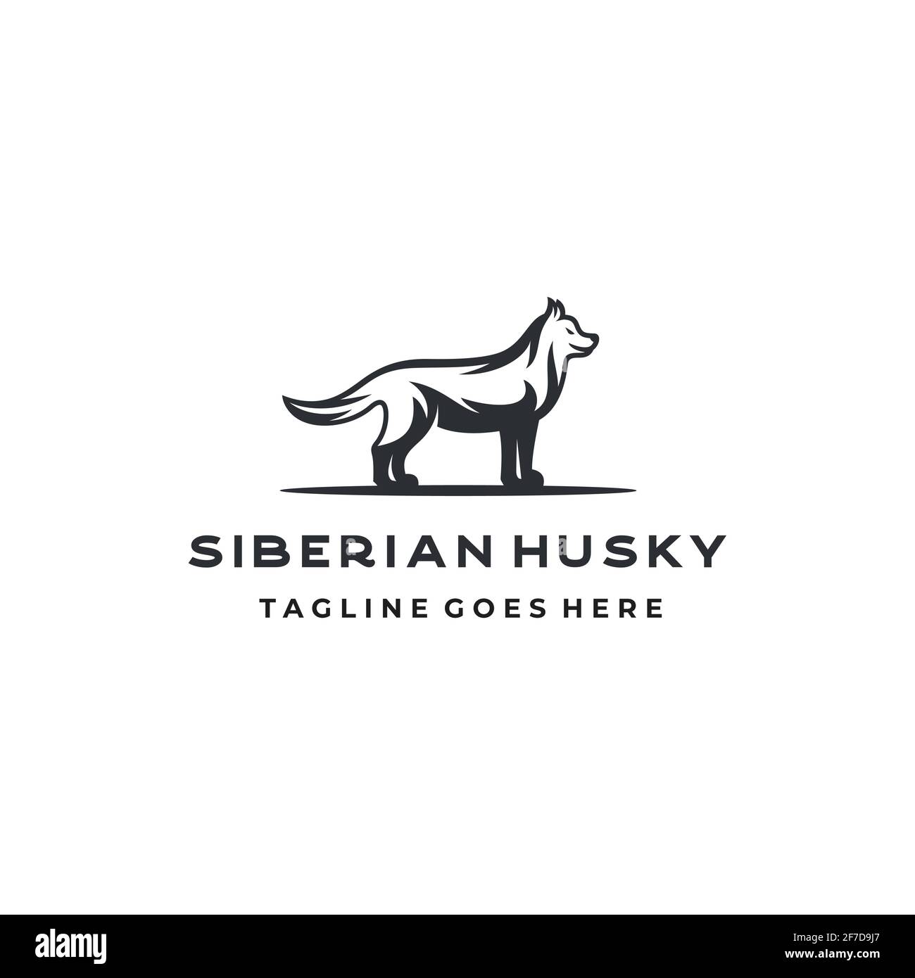 Husky Fight High Resolution Stock Photography and Images - Alamy