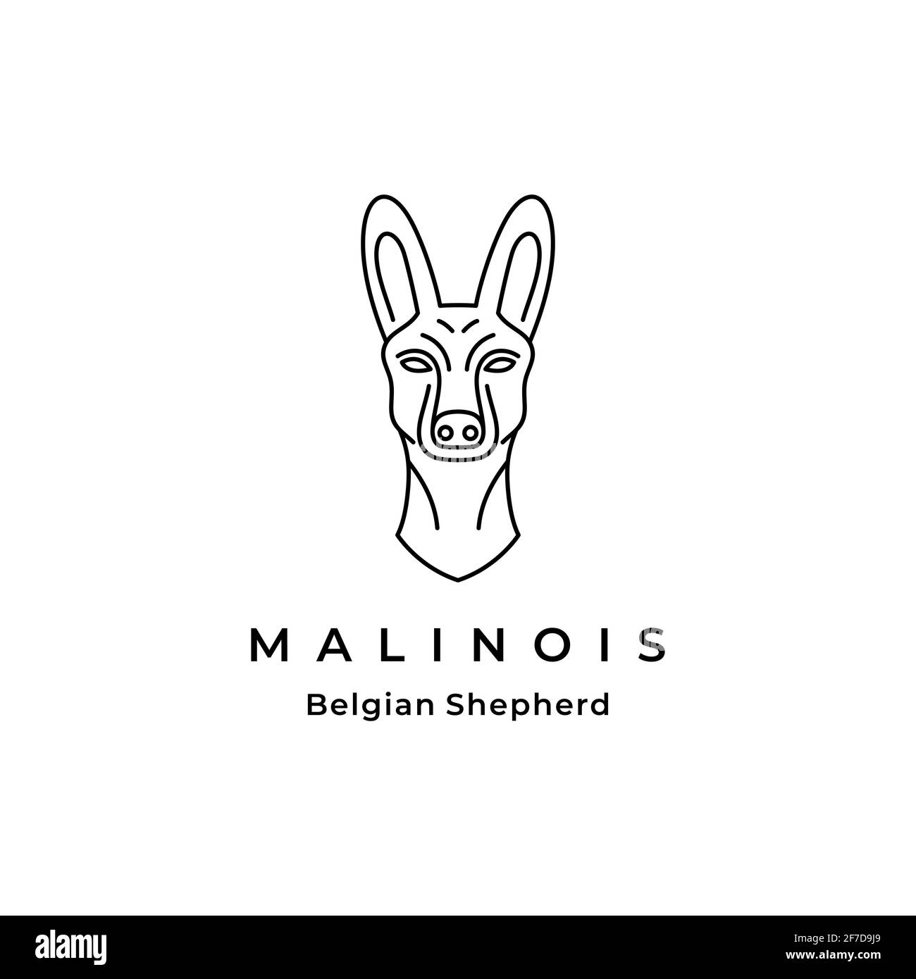 Belgian malinois dog Line art Logo Design Stock Vector Image & Art - Alamy