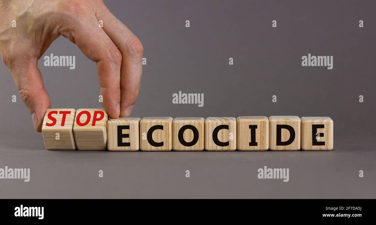 Stop ecocide symbol. Businessman turns wooden cubes and changes words ...