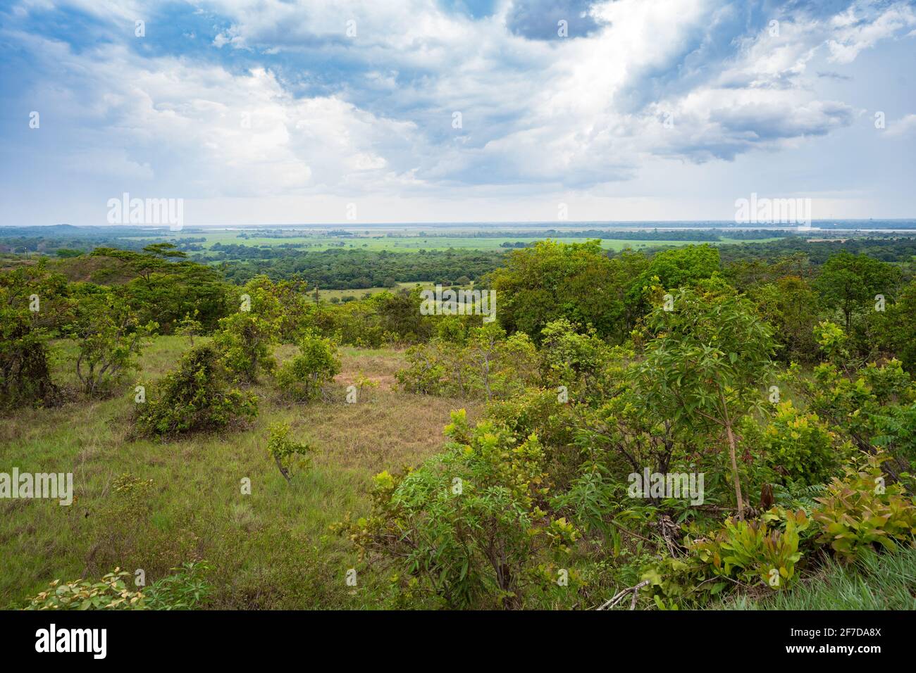 Meta colombia hi-res stock photography and images - Alamy