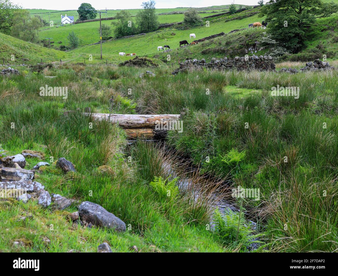 A Leaky dam, designed to reduce the downstream flood peak by ...