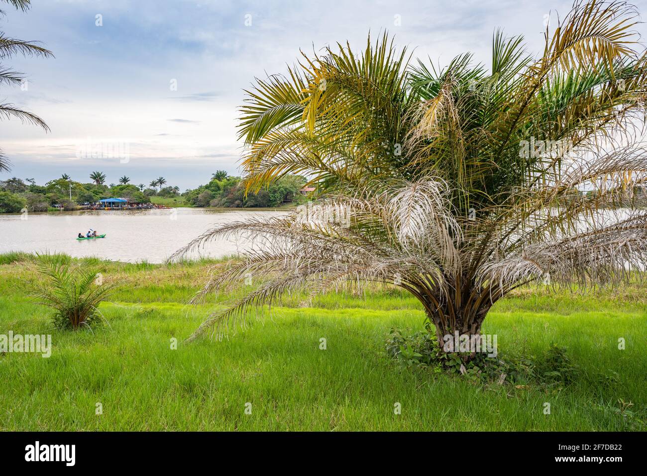 Lake Venturous at Puerto Lopez, municipality of Meta, Colombia Stock ...