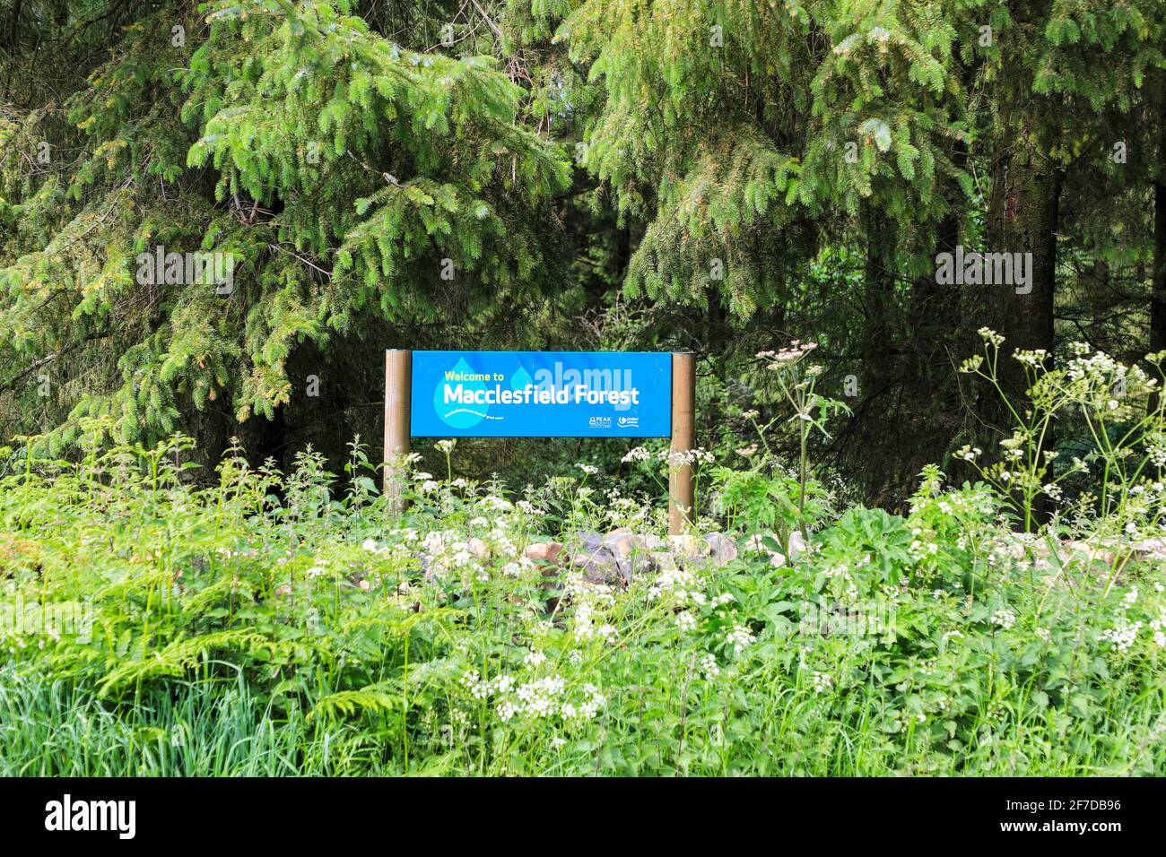 Sign post forest hi-res stock photography and images - Alamy