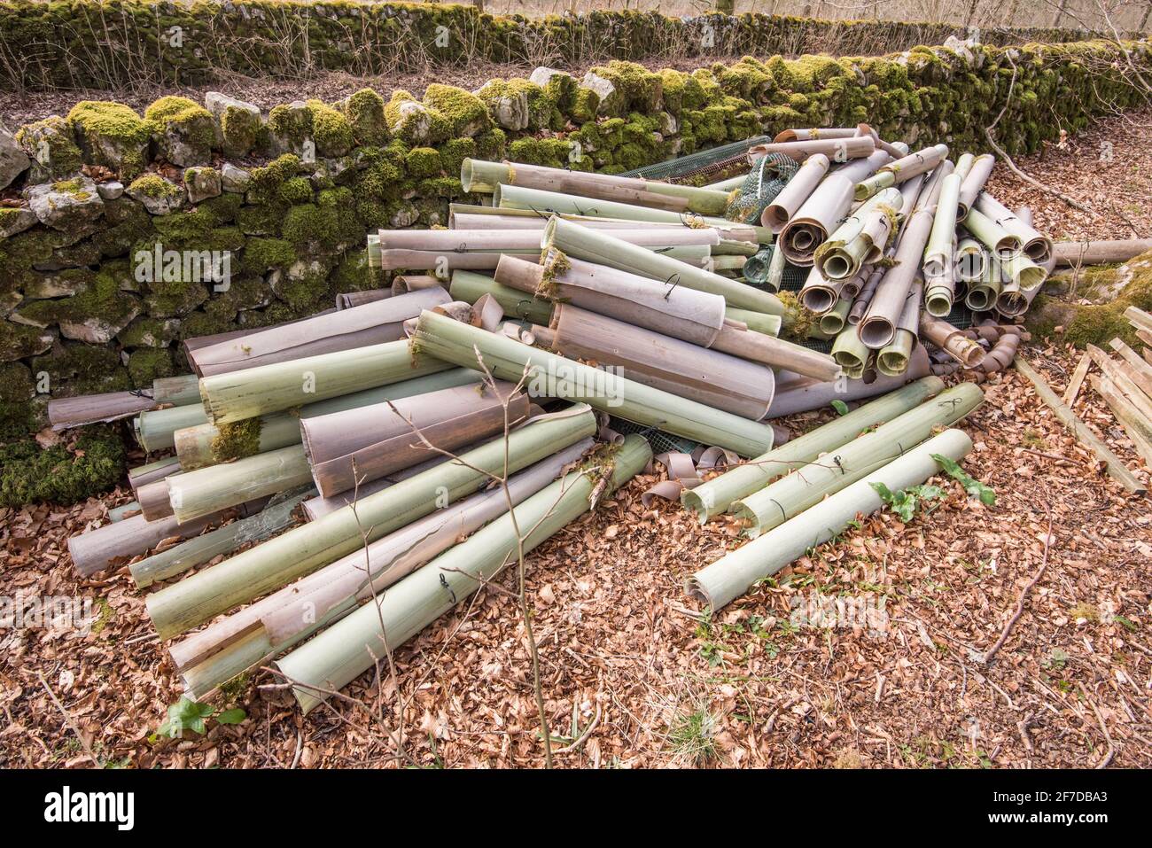 Plastic tree guards Stock Photo - Alamy