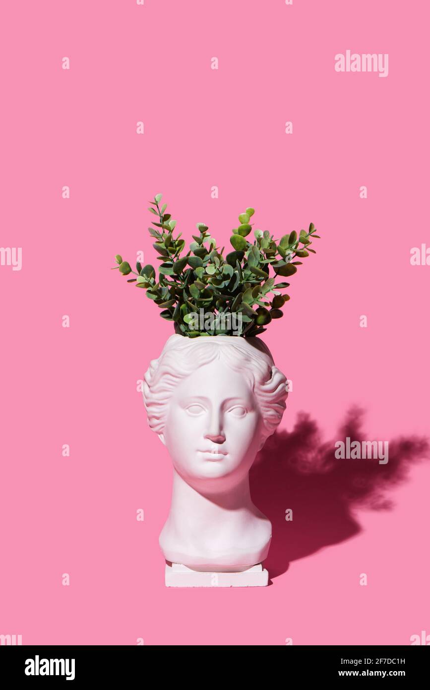 Trendy Venus plaster head planter with pearls and gold jewelry on pink ...