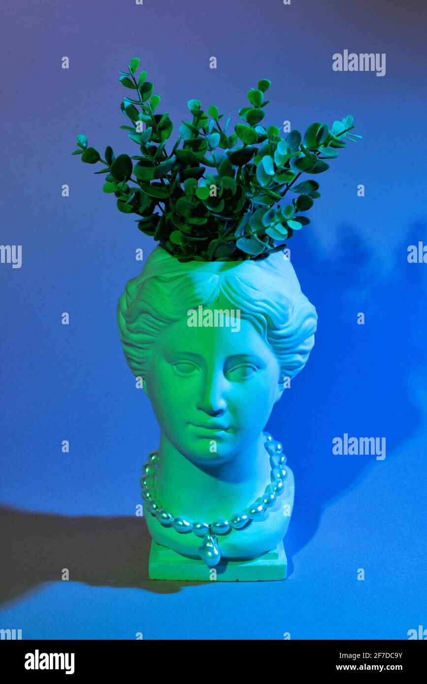 Trendy Venus plaster head planter with pearls and gold jewelry on ...
